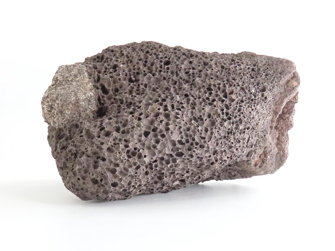 Large Mafic Pumice With a Diorite Inclusion and Floats on Water - Etsy