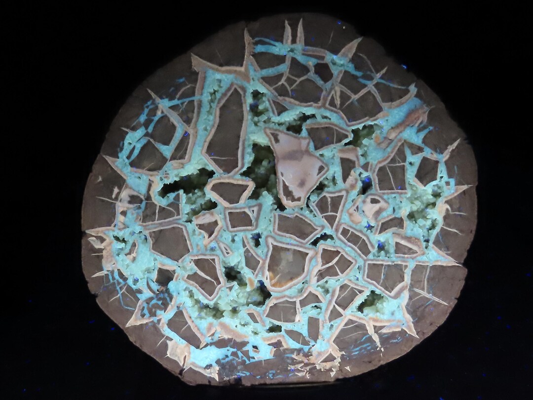 Large Fluorescent Septarian Geode With Calcite and Aragonite - Etsy