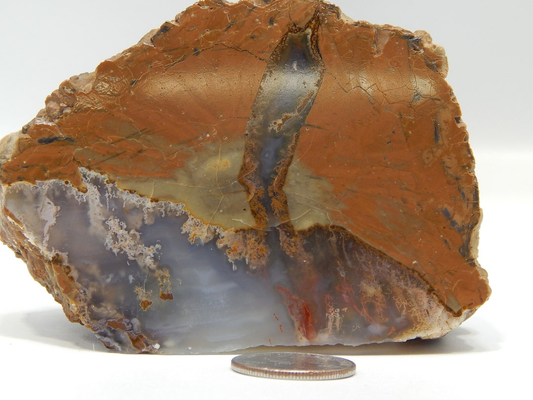 Richardson Ranch Rhyolite Thunderegg With Nice Plumes - Etsy