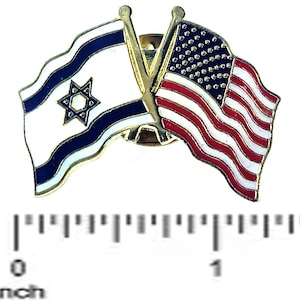 American Flag and Israeli Flag Lapel Pin - Etsy
