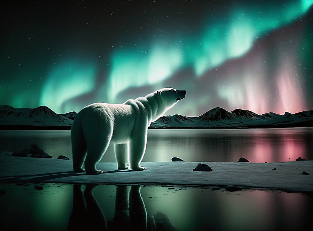 Polar Bear Aurora - Stunning Digital Art of a Polar Bear Watching the ...