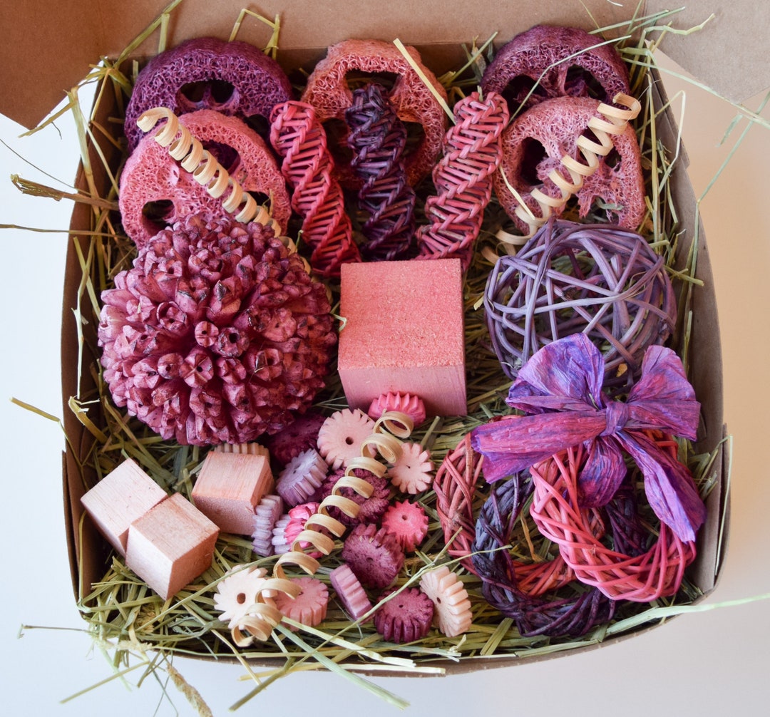 The Ultimate Berry Flavored Toy Box | Rabbit, Guinea Pig, and Other ...