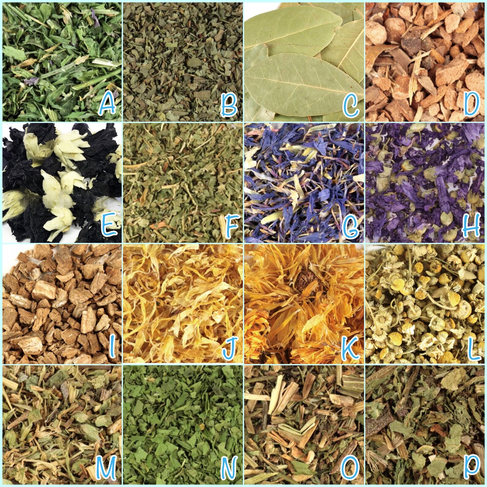 Create Your Own Foraging Mix Organic Blend of Fruits - Etsy