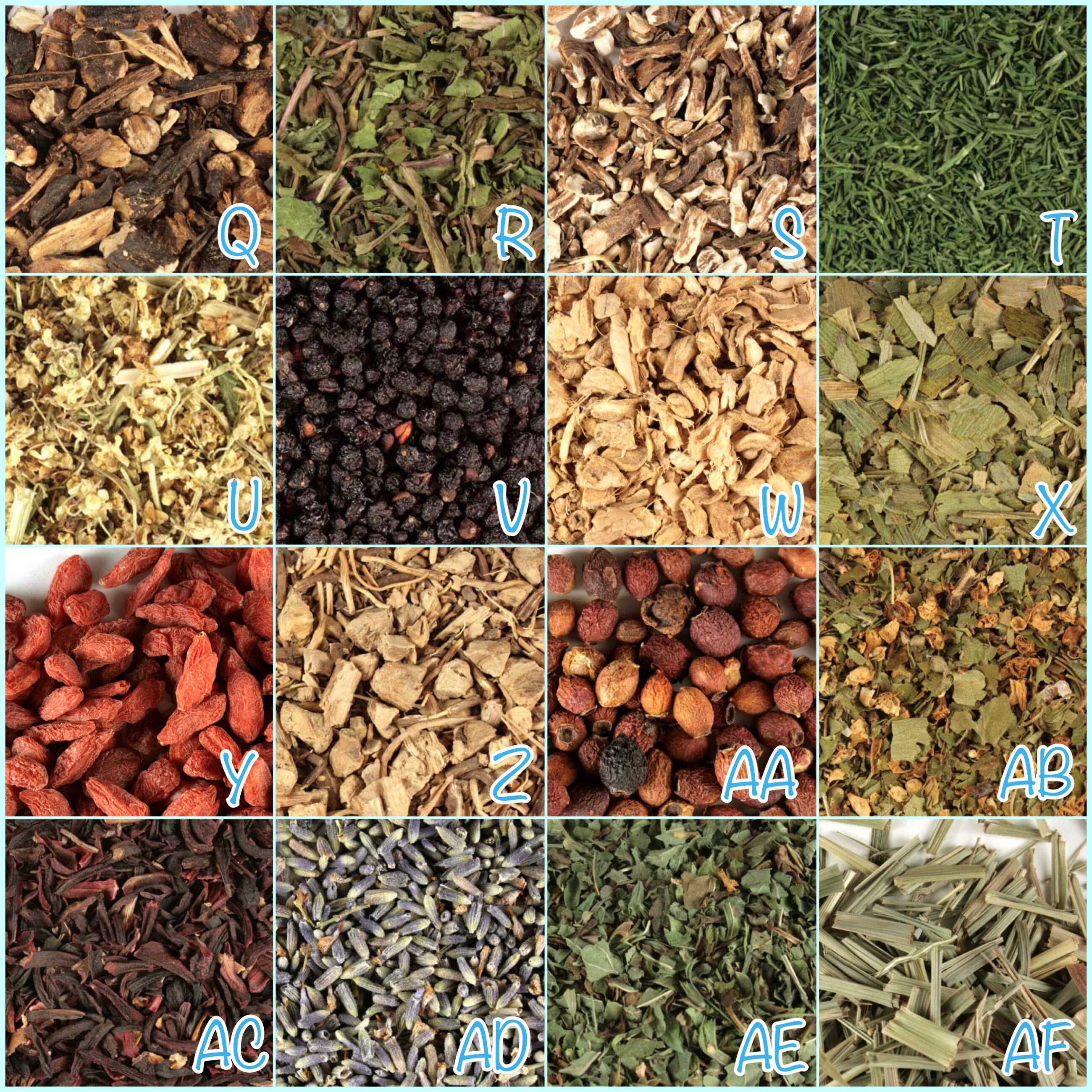 Create Your Own Foraging Mix Organic Blend of Fruits - Etsy