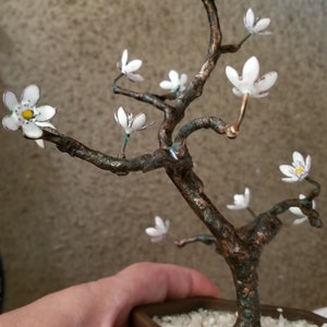 Vintage Bovano Enamel on Copper Fowering Bonsai Tree Sculpture-537 Gr ...