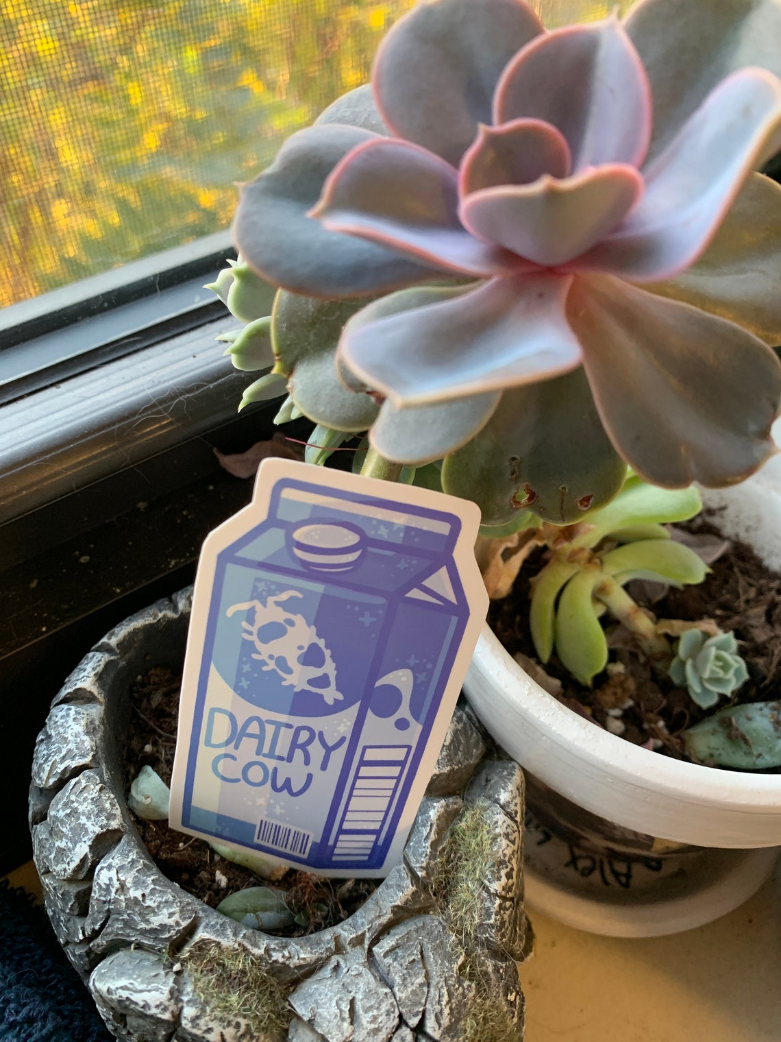 Dairy Cow Isopod Milk Sticker - Etsy