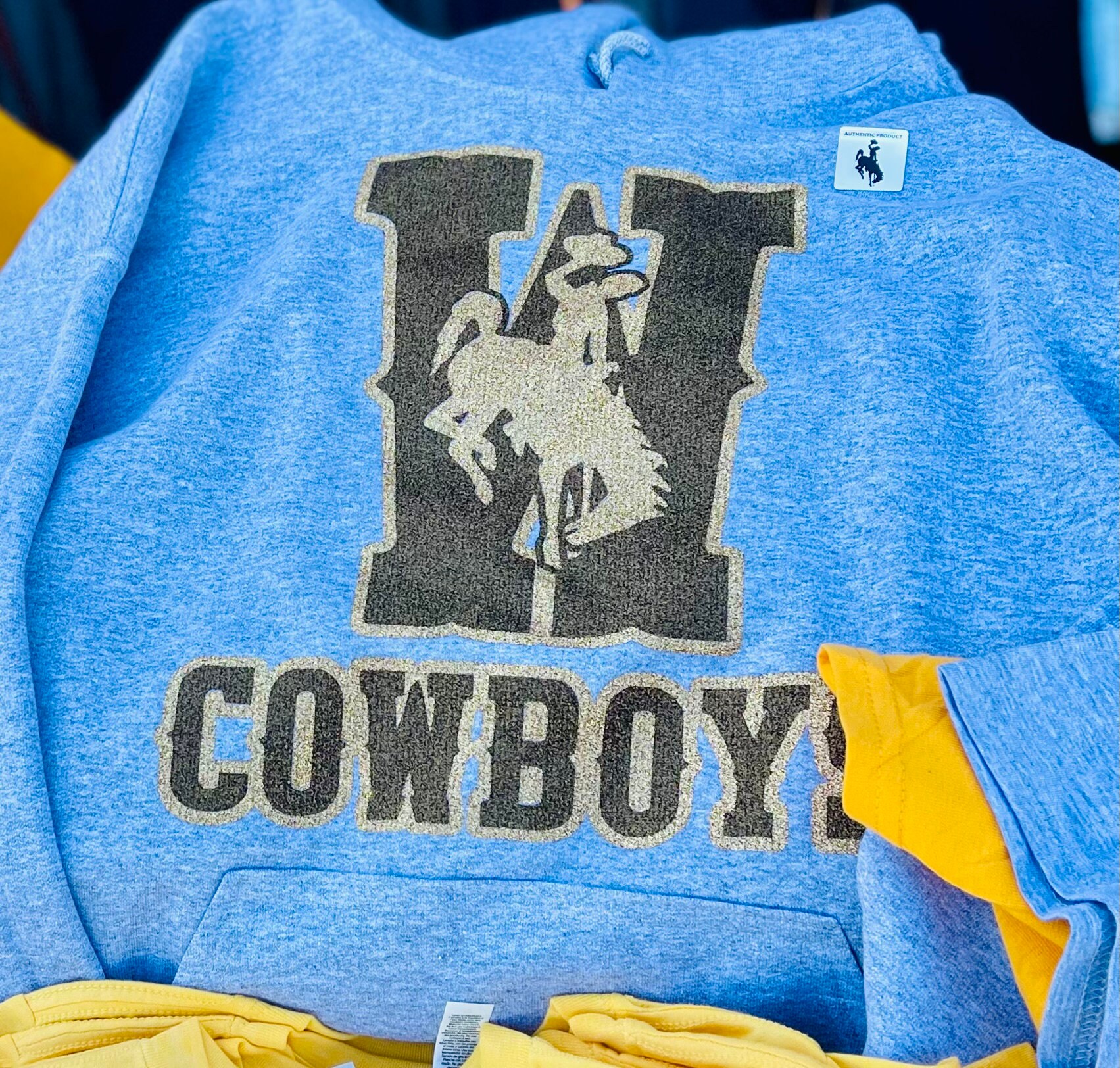 University of Wyoming Hoodie, Wyo Isn't Real, Go Pokes, Steamboat ...