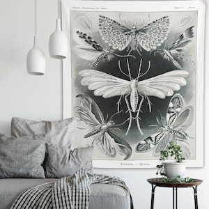 Antique Moths Tapestry Ernst Haeckel Tineida Vintage Butterflies Wall ...
