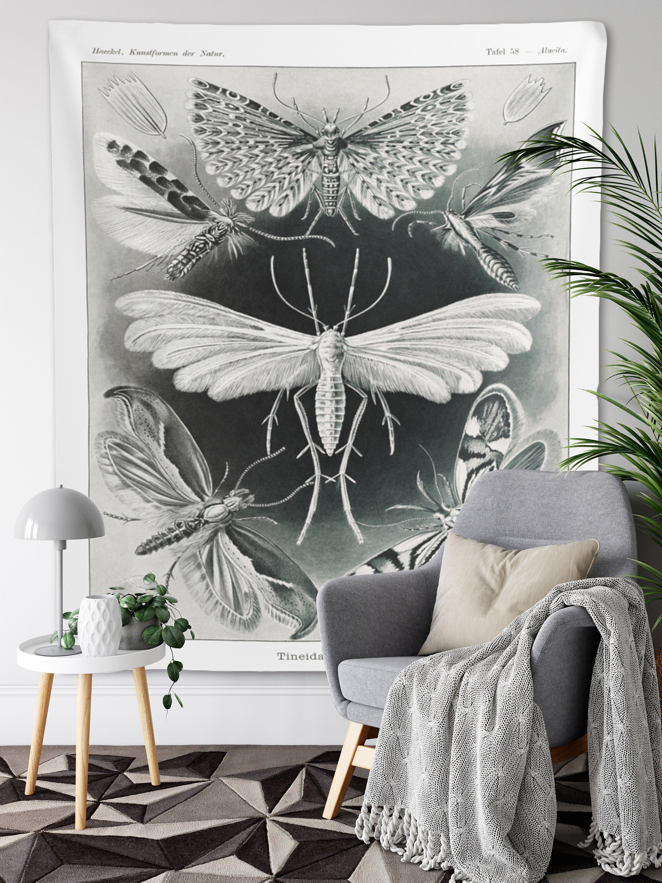 Antique Moths Tapestry Ernst Haeckel Tineida Vintage Butterflies Wall ...