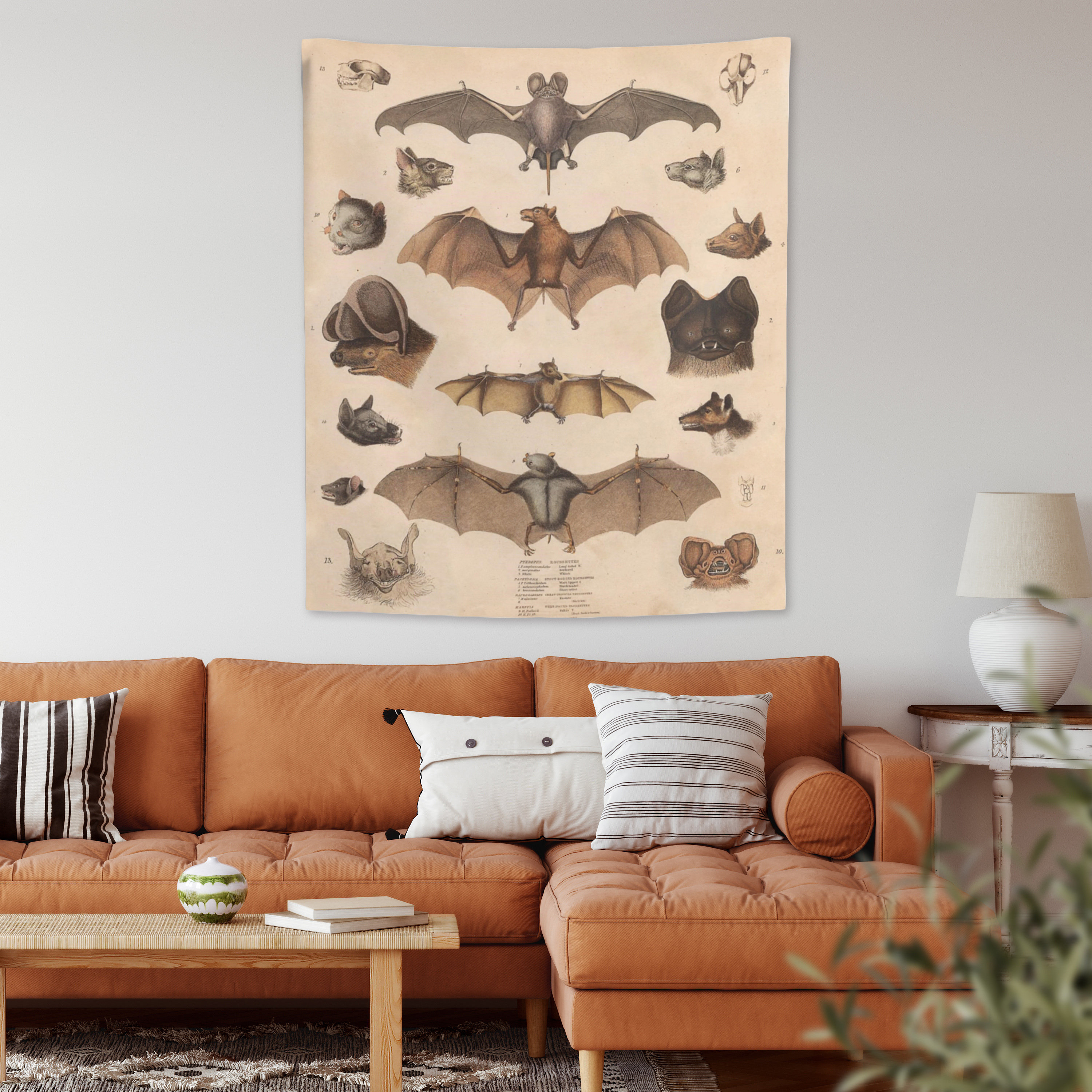 Vintage Bats Tapestry Retro Illustration Wall Hanging Bat Wall Art ...