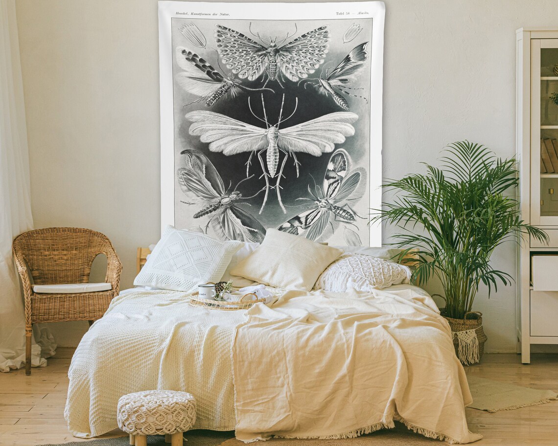 Antique Moths Tapestry Ernst Haeckel Tineida Vintage Butterflies Wall ...