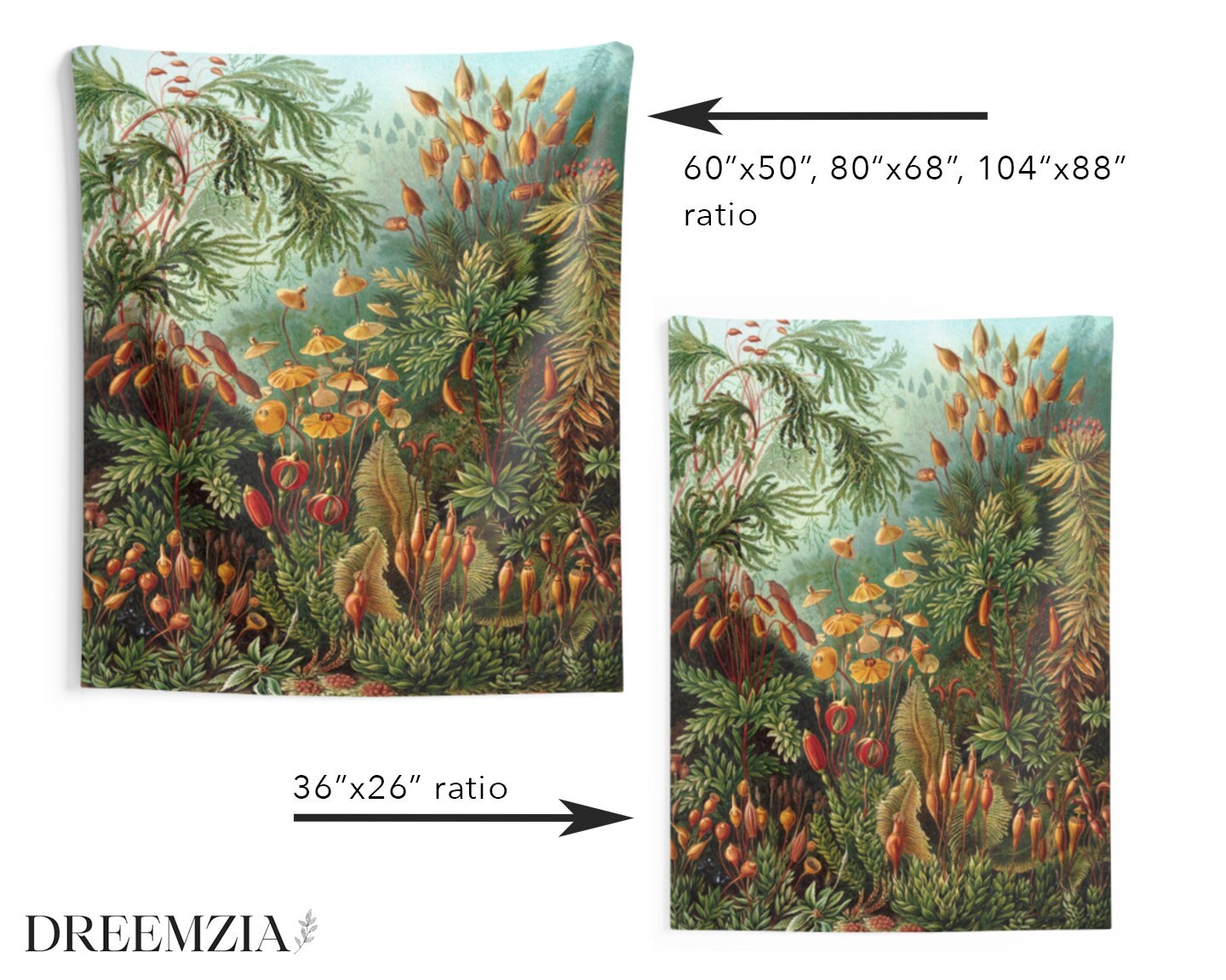 Vintage Botanical Tapestry A Grove of Mosses Muscinae Haeckel - Etsy