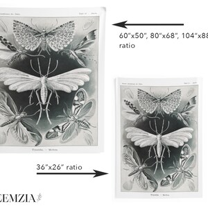 Antique Moths Tapestry Ernst Haeckel Tineida Vintage Butterflies Wall ...