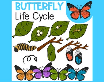 Life Cycle of a blue Morpho Butterfly Clip Art Set - Etsy