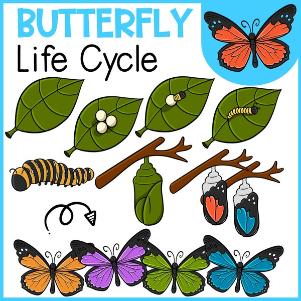 Spring Clip Art - Etsy