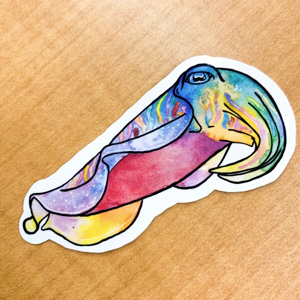 Cuttlefish - Etsy