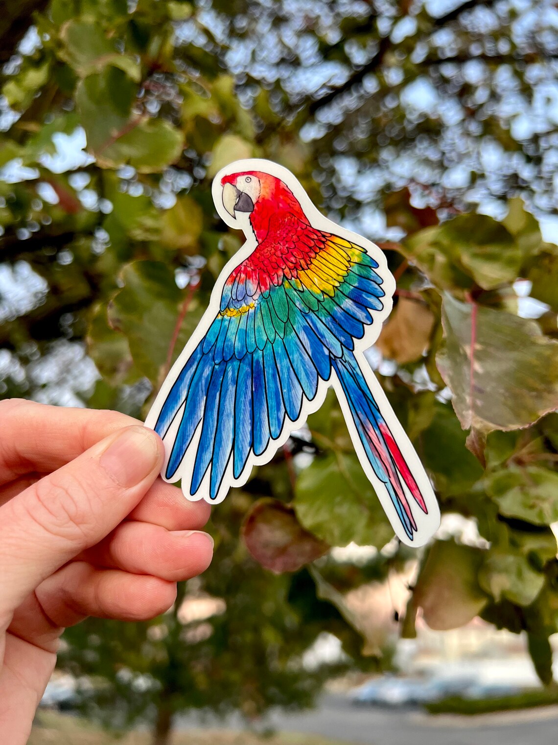 Scarlet Macaw Sticker, Macaw Sticker, Waterproof Sticker, Parrot ...