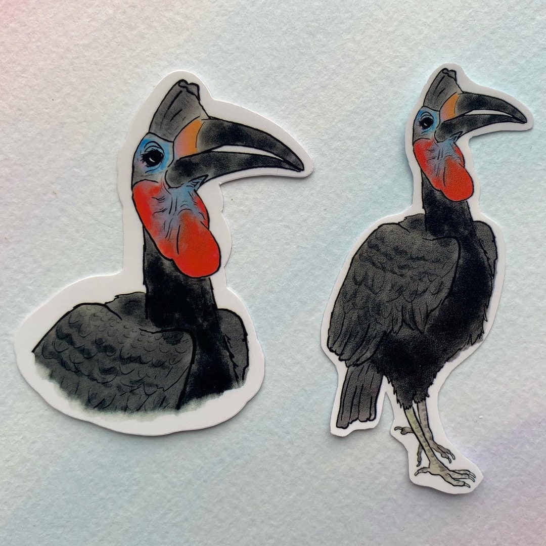 Hornbill Sticker, Zookeeper Sticker, Waterproof Sticker, Vinyl Sticker ...
