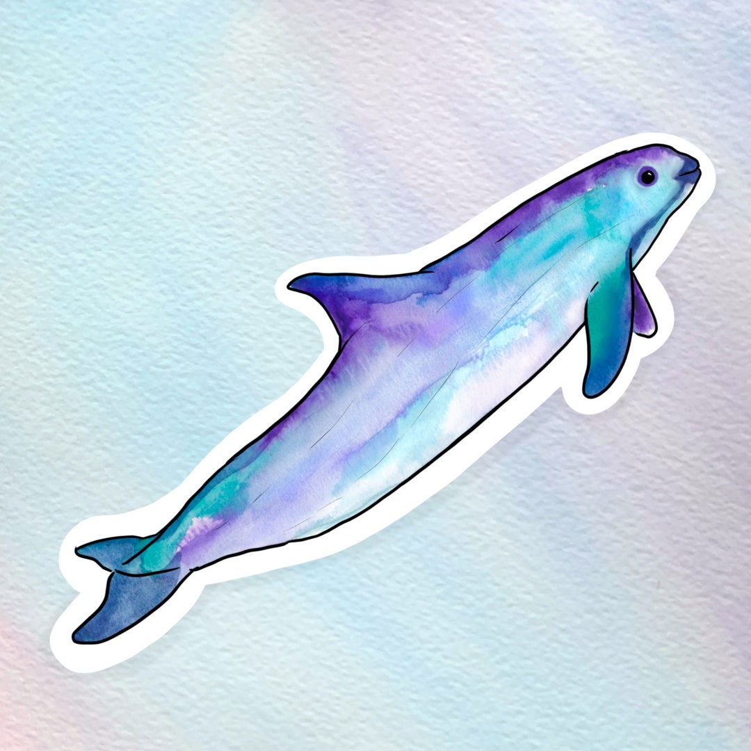 Rainbow Vaquita Sticker, Vaquita Sticker, Animal Gift, Waterproof ...