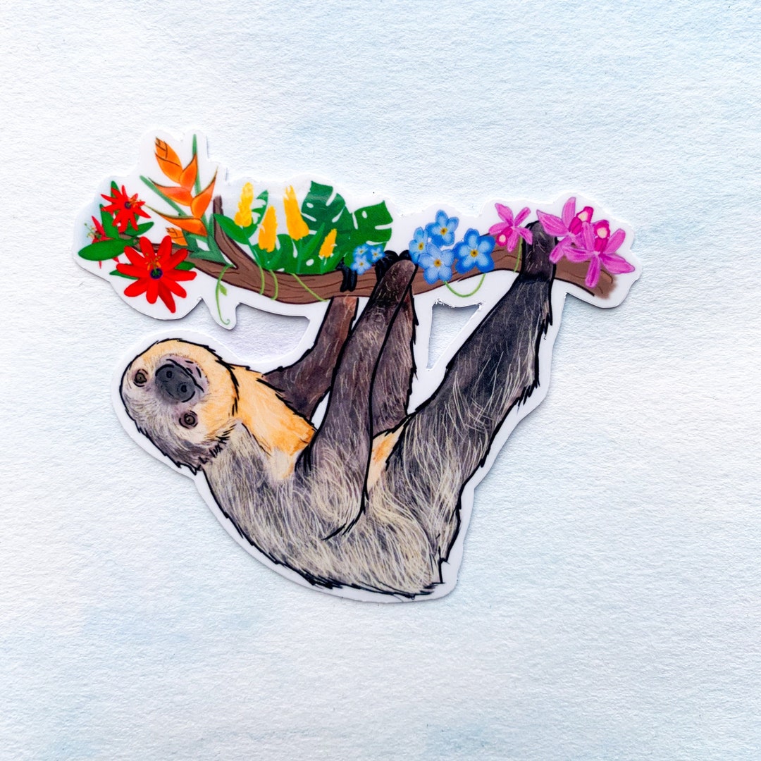 Sloth Sticker, Two Toed Sloth Sticker, Waterproof Sticker, Waterbottle ...