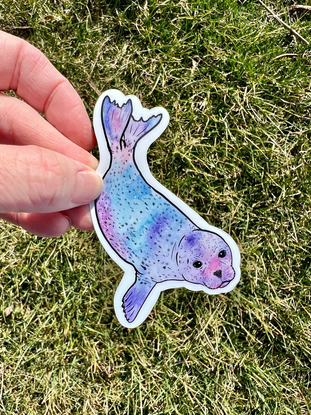Rainbow Harbor Seal Sticker, Harbor Seal Sticker, Rainbow Harbor Seal ...
