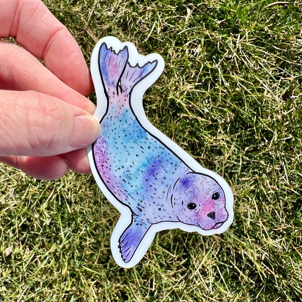 Rainbow Harbor Seal Sticker - Etsy