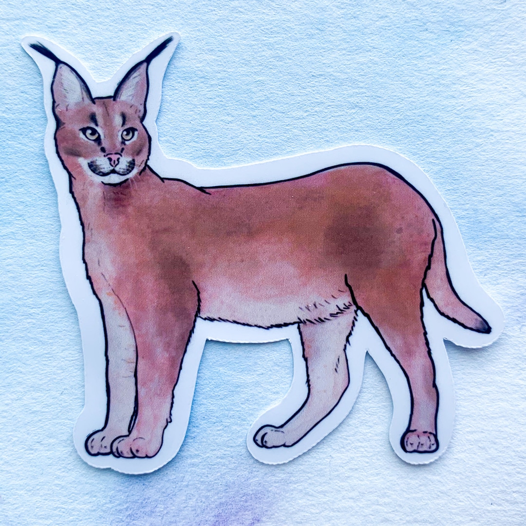 Caracal Sticker, Cat Sticker, Waterproof Sticker, Vinyl Sticker, Big ...
