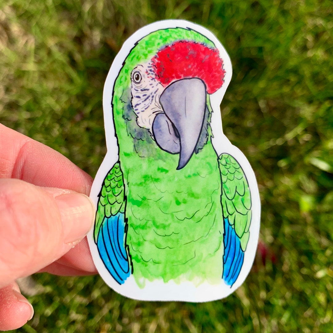 Military Macaw Sticker, Macaw Sticker, Waterproof Sticker, Vinyl ...