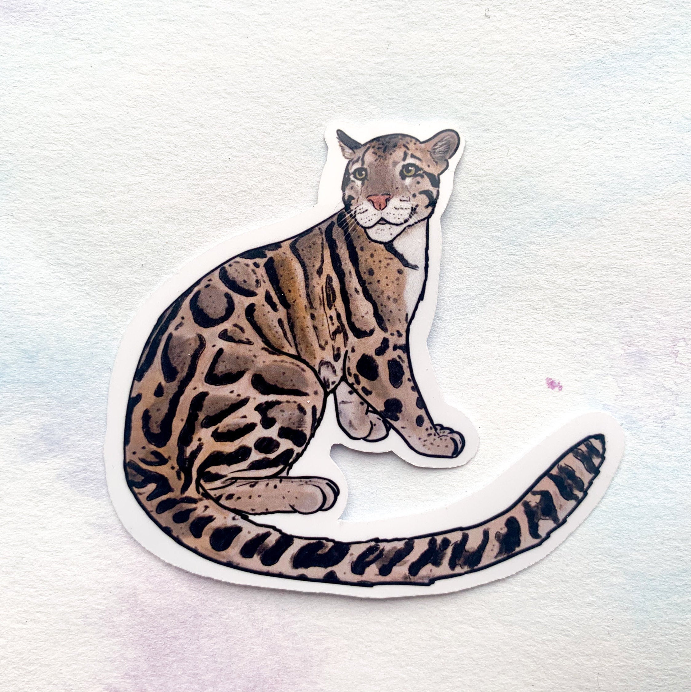 Clouded Leopard Portrait Sticker Cat Sticker Waterproof - Etsy