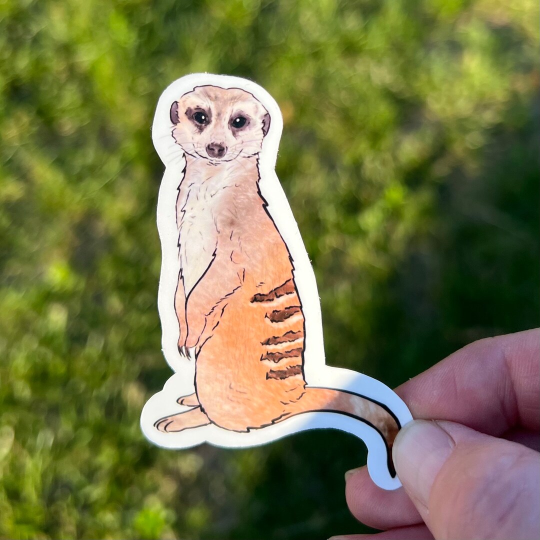 Meerkat Sticker, Watercolor Meerkat Sticker, Meerkat Gift, Waterproof ...