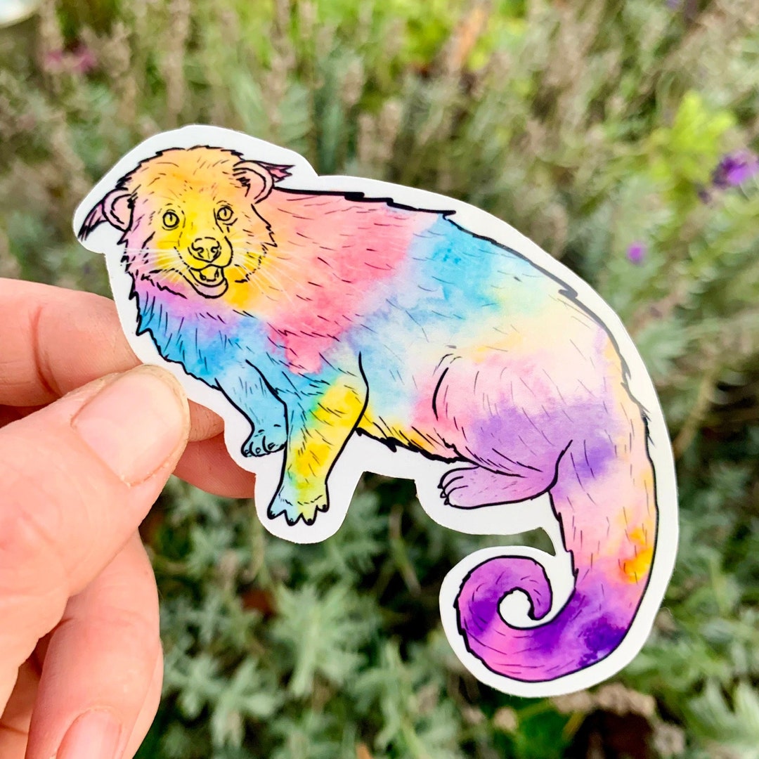 Rainbow Binturong Sticker, Wildlife Sticker, Waterproof Sticker, Animal ...