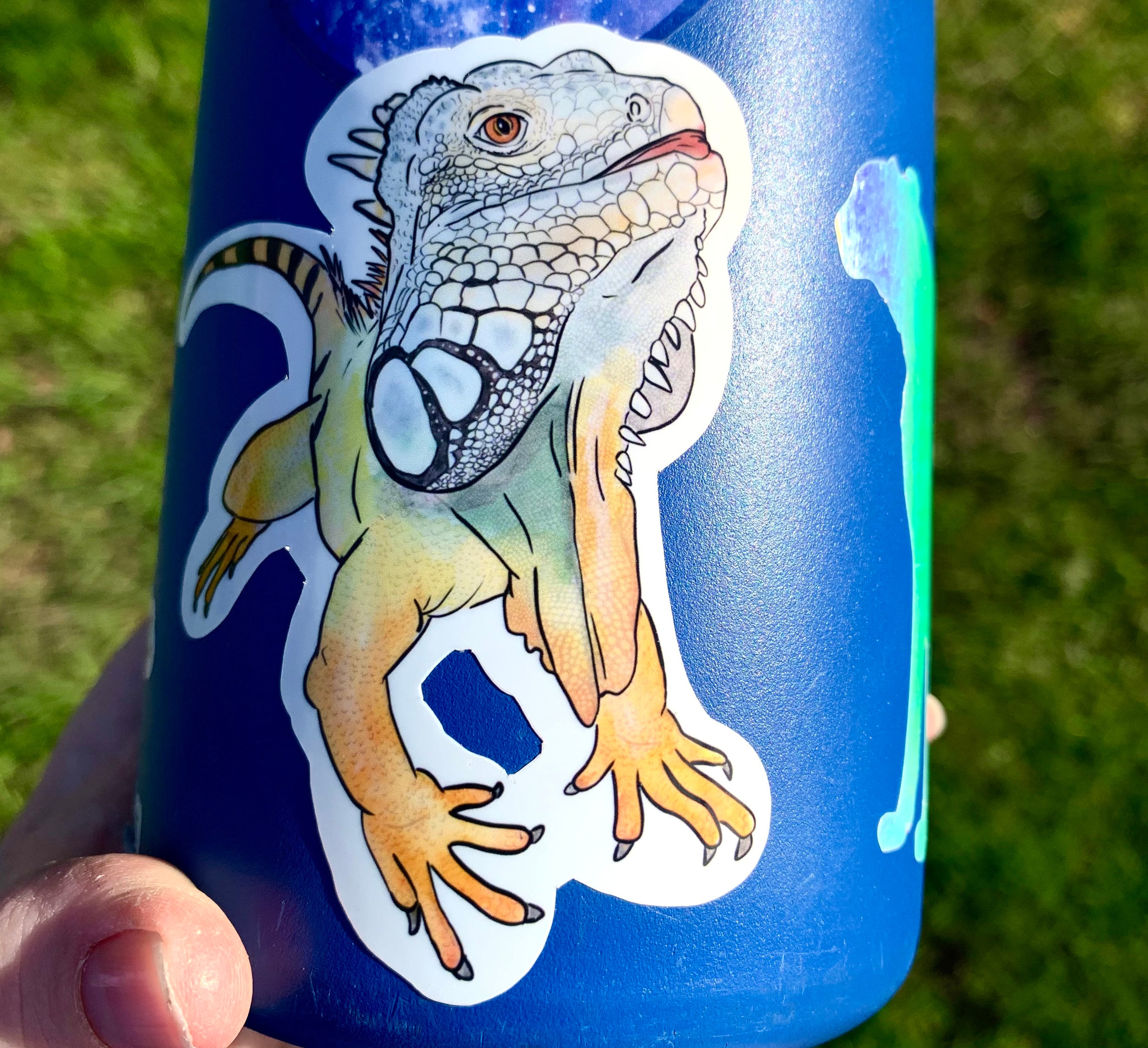 Iguana Sticker Waterproof Sticker Waterbottle Sticker - Etsy