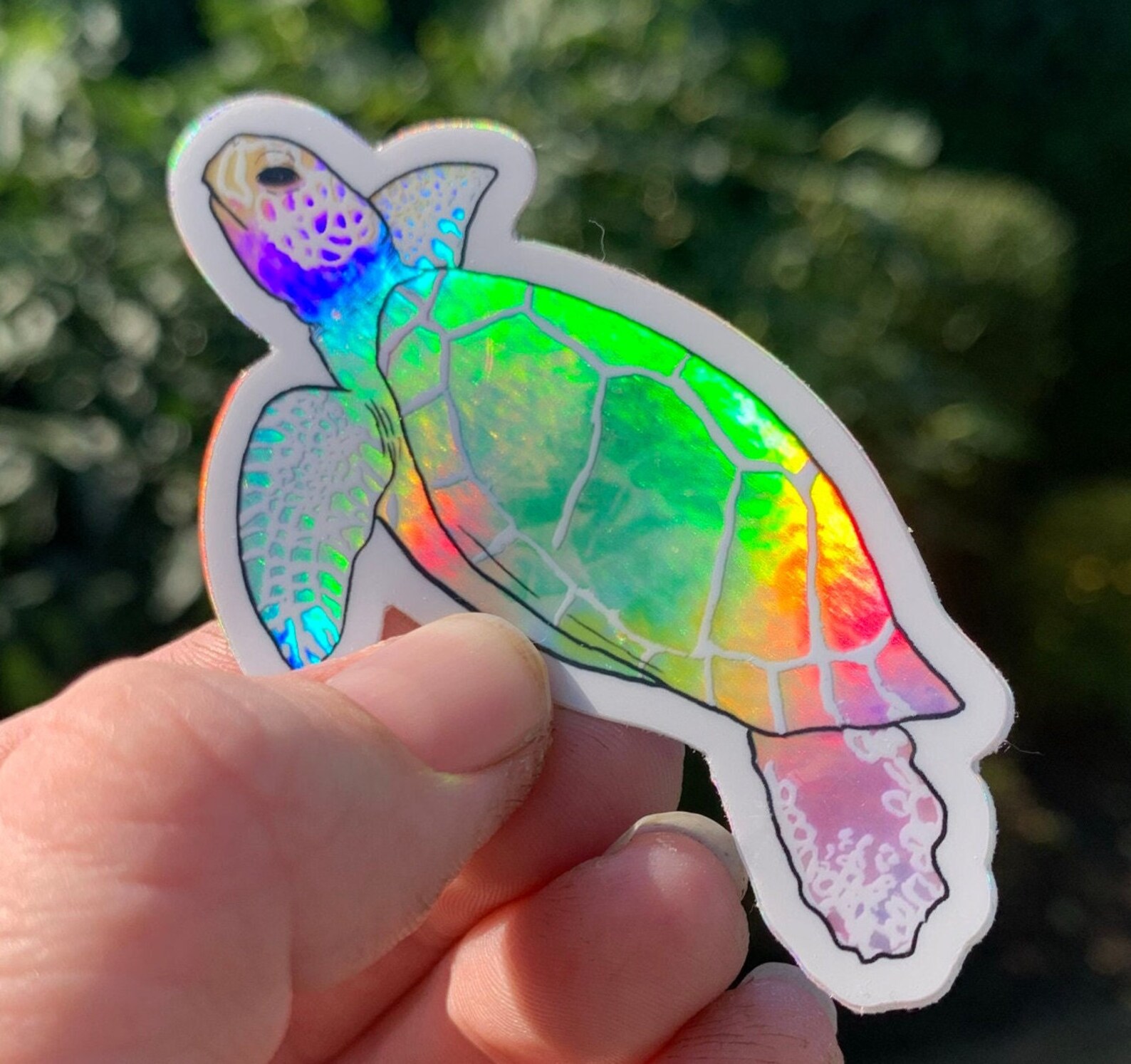 Holographic Sea Turtle Sticker, Rainbow Sea Turtle Sticker, Sea Turtle ...