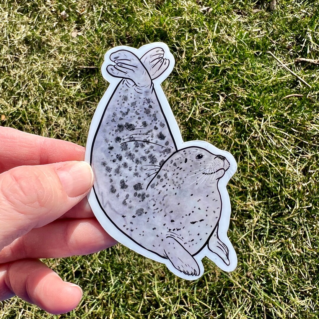 Harbor Seal Sticker, Harbor Seal Sticker, Rainbow Harbor Seal, Rainbow ...