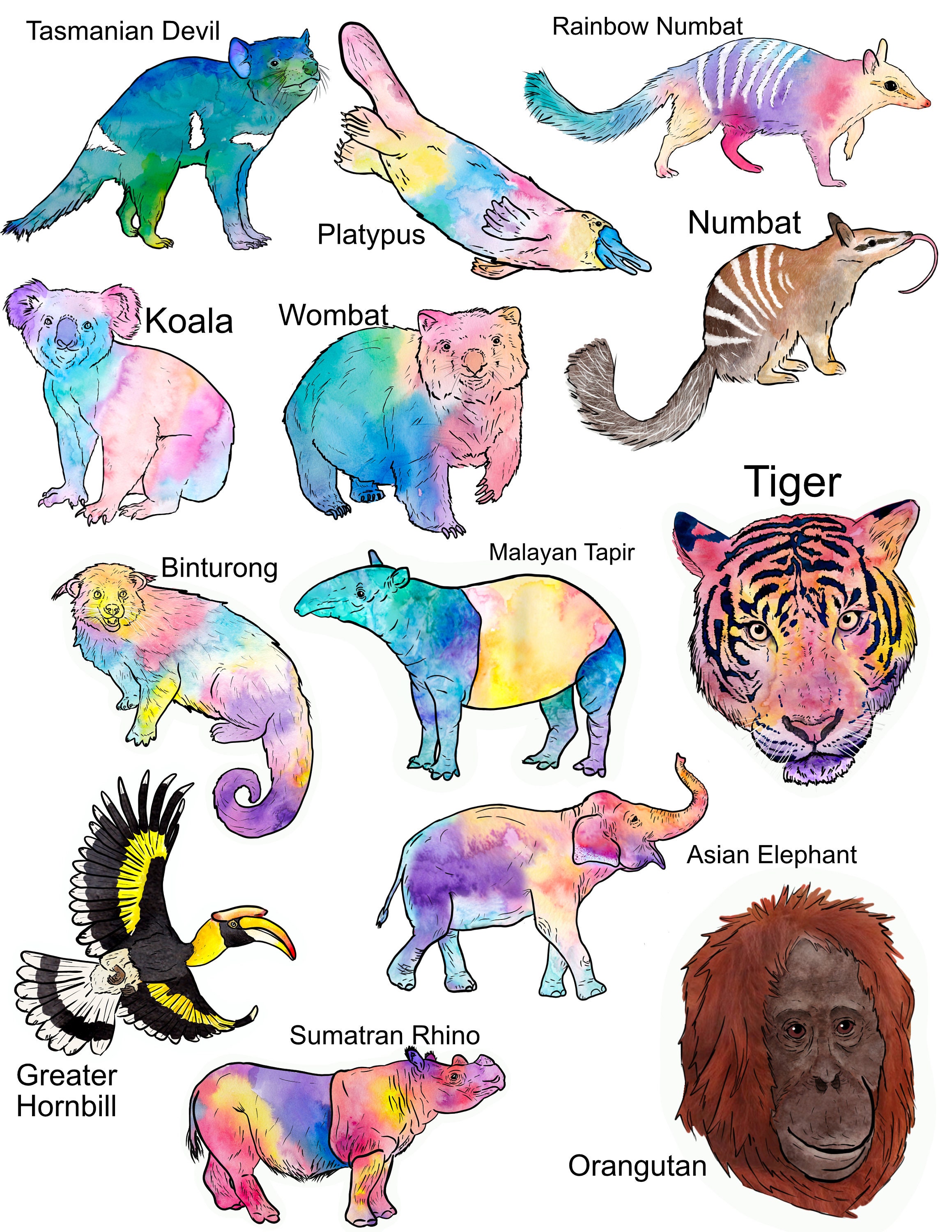 Animal Magnet Rainbow Magnet Wildlife Magnet Animal - Etsy