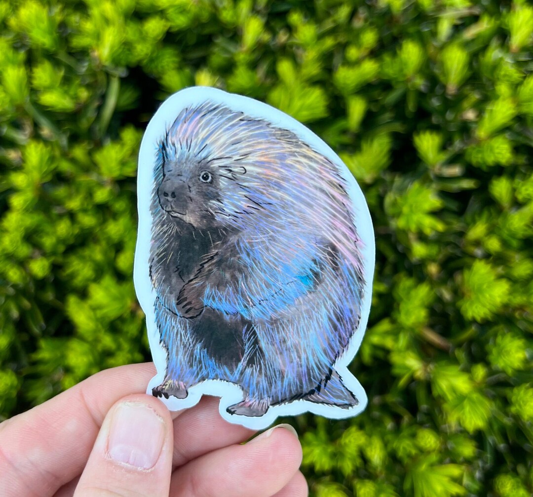 Rainbow North American Porcupine Sticker, North American Porcupine ...