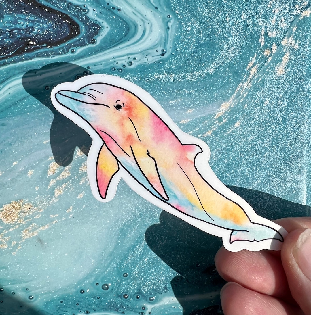 Rainbow Dolphin Sticker, Rainbow, Dolphin Sticker, Dolphin Gift ...