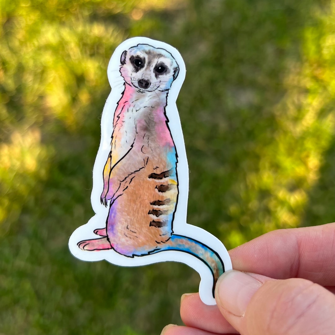 Rainbow Edge Meerkat Sticker, Meerkat Sticker, Meerkat Gift, Waterproof ...