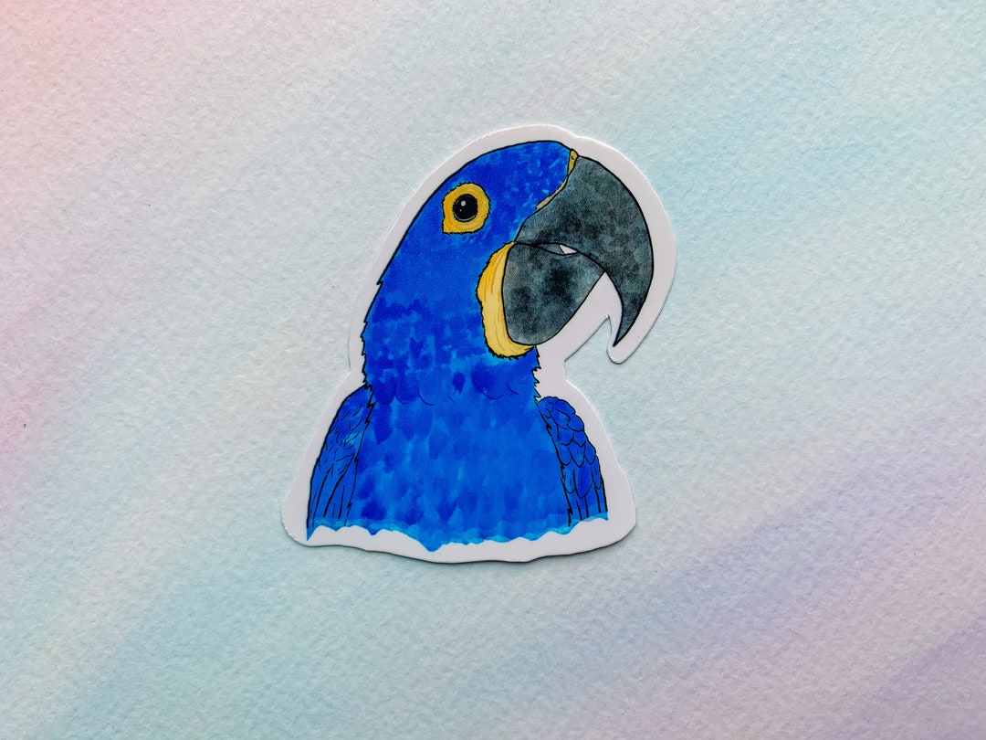 Hyacinth Macaw Sticker, Macaw Sticker, Waterproof Sticker, Vinyl ...
