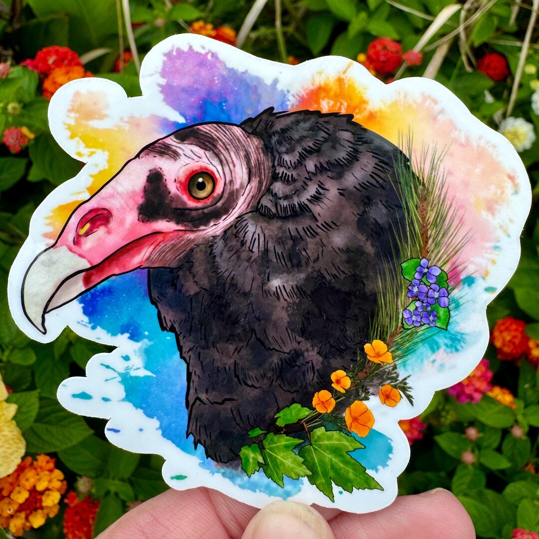 Turkey Vulture Sticker, Bird of Prey Sticker, Turkey Vulture Gift ...