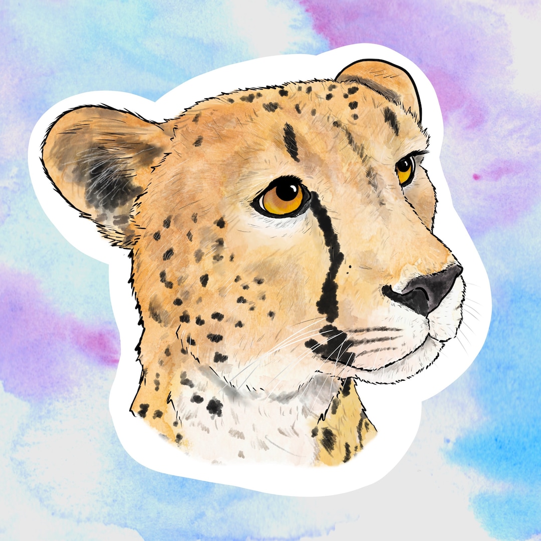 Cheetah Sticker, Waterproof Sticker, Waterbottle Sticker, Rainbow ...