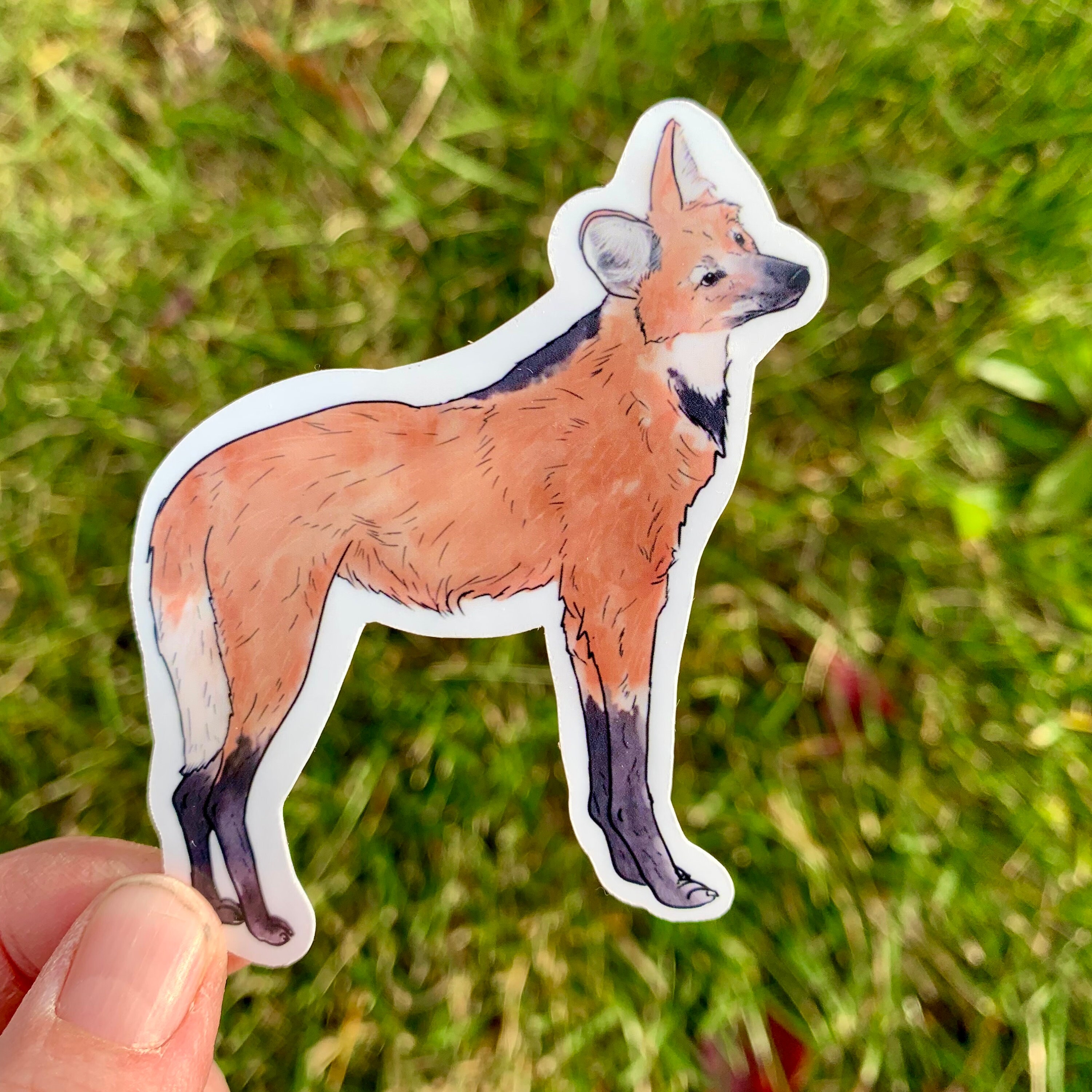 Maned Wolf Sticker Wildlife Sticker Waterproof Sticker - Etsy