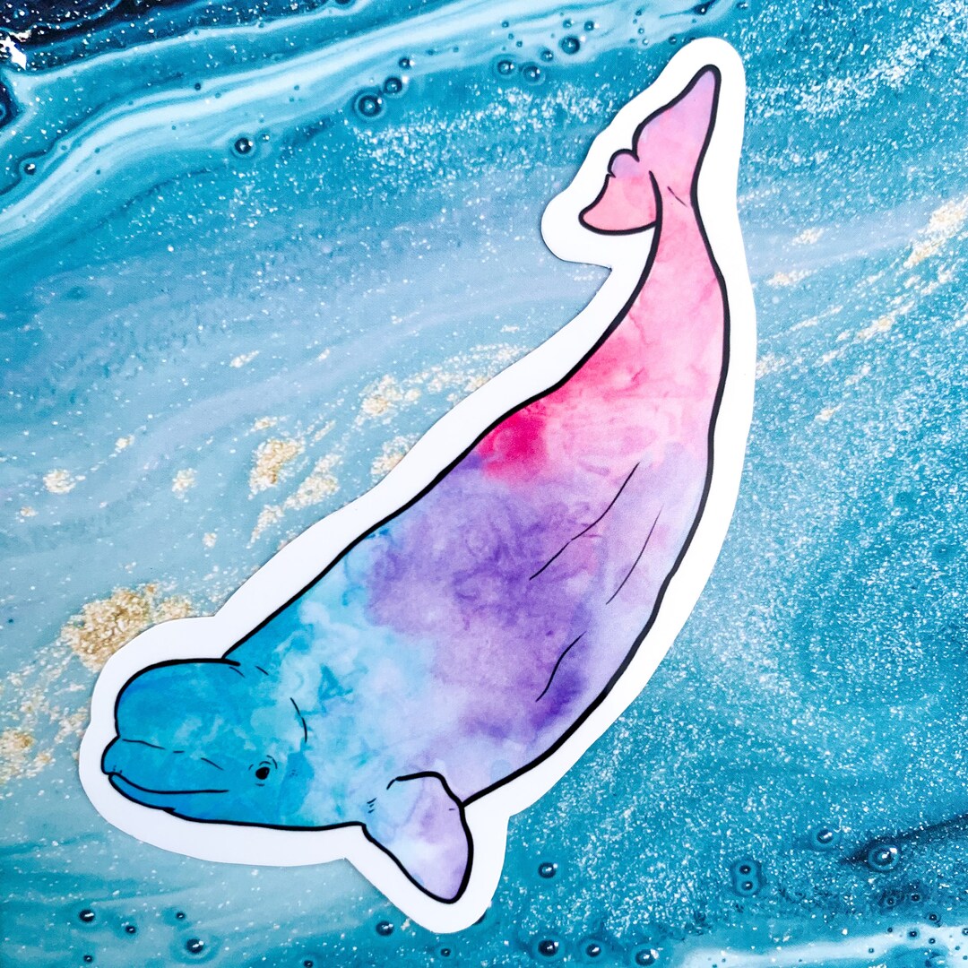 Rainbow Beluga Sticker, Beluga Whale Sticker, Zookeeper Sticker ...