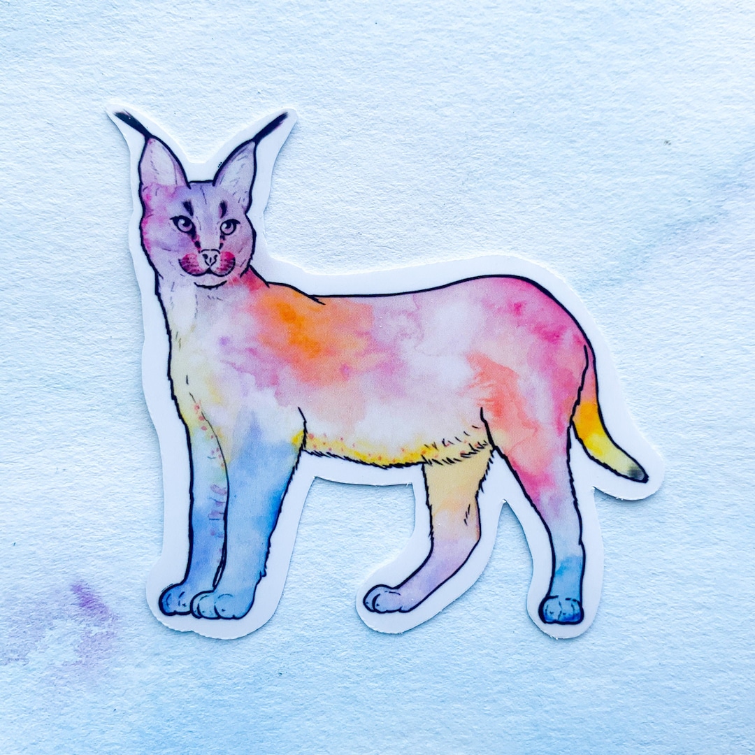 Rainbow Caracal Sticker, Cat Sticker, Waterproof Sticker, Vinyl Sticker ...