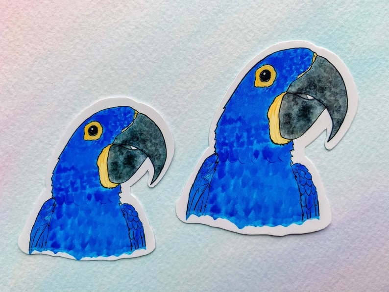 Hyacinth Macaw Sticker Macaw Sticker Waterproof Sticker | Etsy