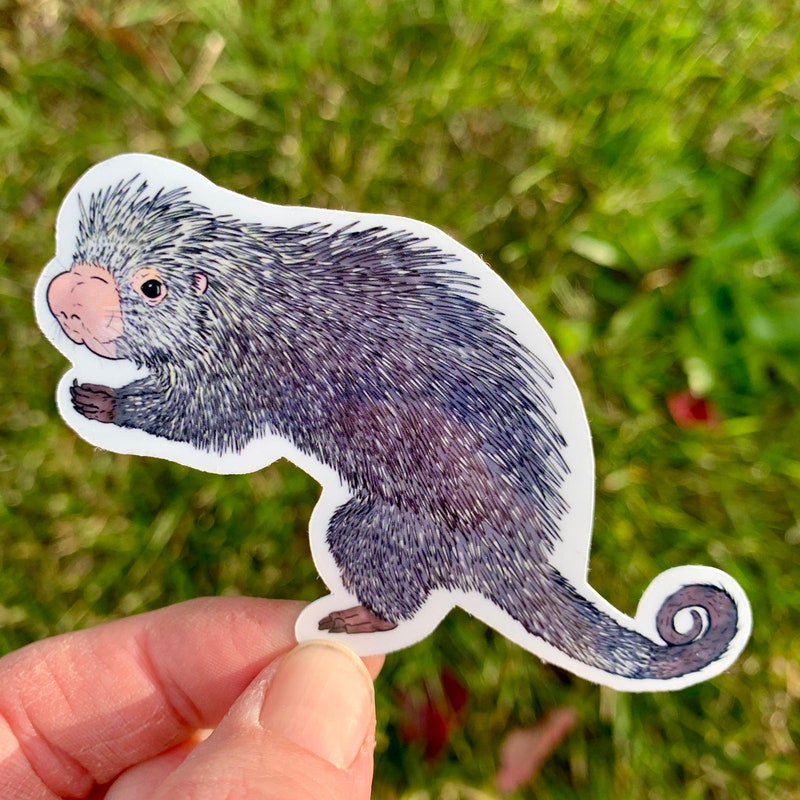 Porcupine Art - Etsy