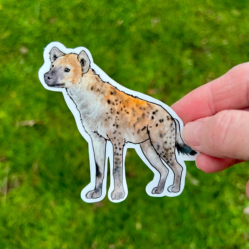 Hyena Sticker Waterproof Sticker Rainbow Sticker Animal - Etsy