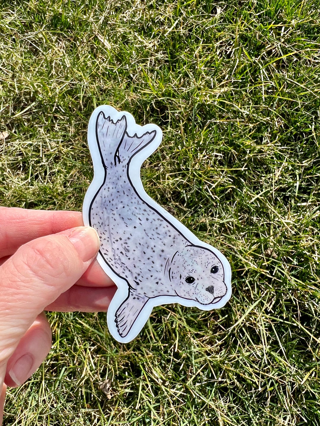 Harbor Seal Sticker, Harbor Seal Sticker, Rainbow Harbor Seal, Rainbow ...