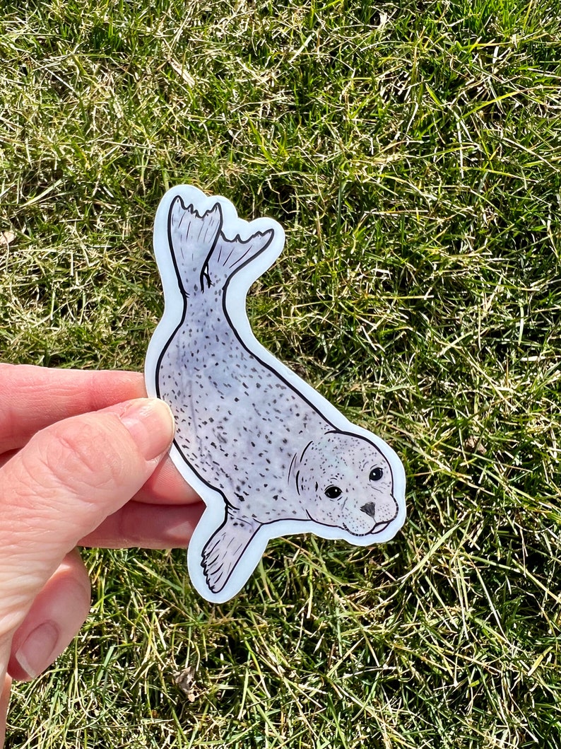 Harbor Seal Sticker Harbor Seal Sticker Rainbow Harbor Seal - Etsy