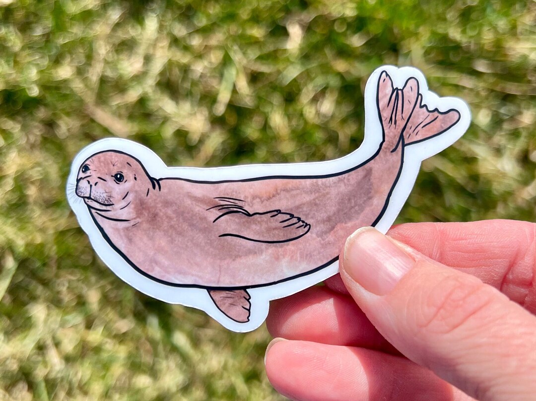 Hawaiian Monk Seal Sticker, Monk Seal Sticker, Rainbow Monk Seal, Seal ...